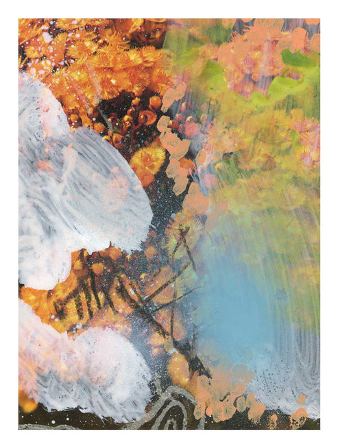 'Wildflowers 10' Limited Edition Framed Print – Australiana art flowers ...